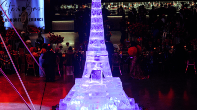 Ice Sculptures - Ice Lab