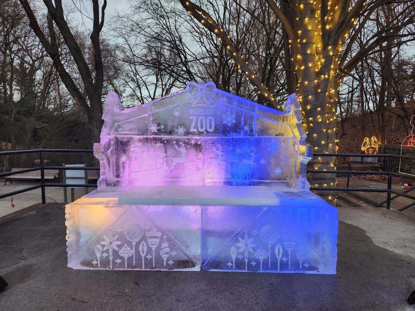 Interactive Ice - Ice Lab