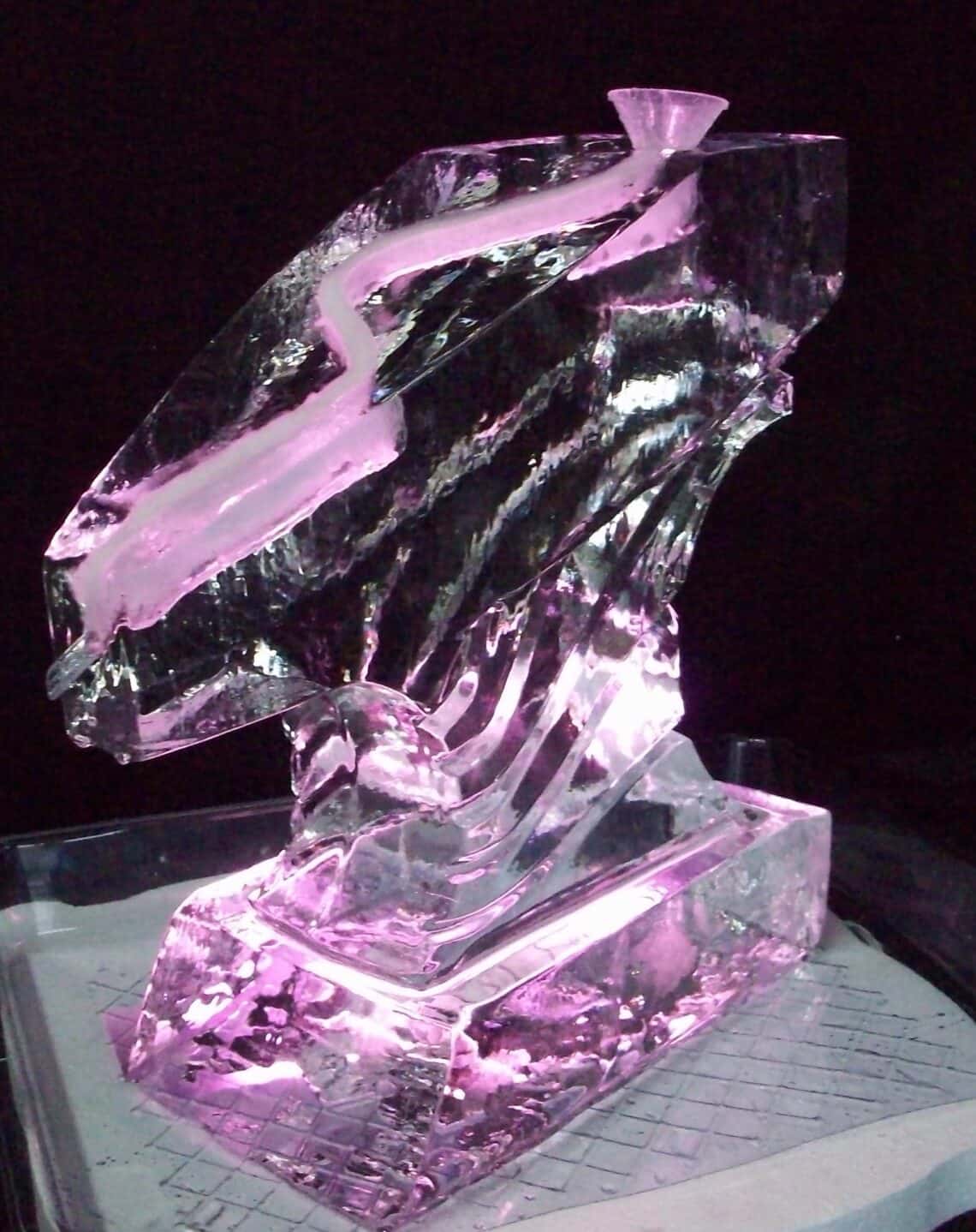 Buy Ice Luge Now - Ice Lab